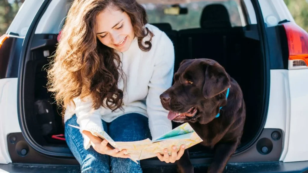Navigating Public Transport With Pets: A Guide